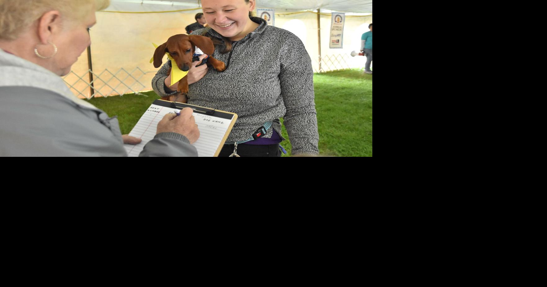 Doxie Dash held at Mifflinburg Oktoberfest | | dailyitem.com