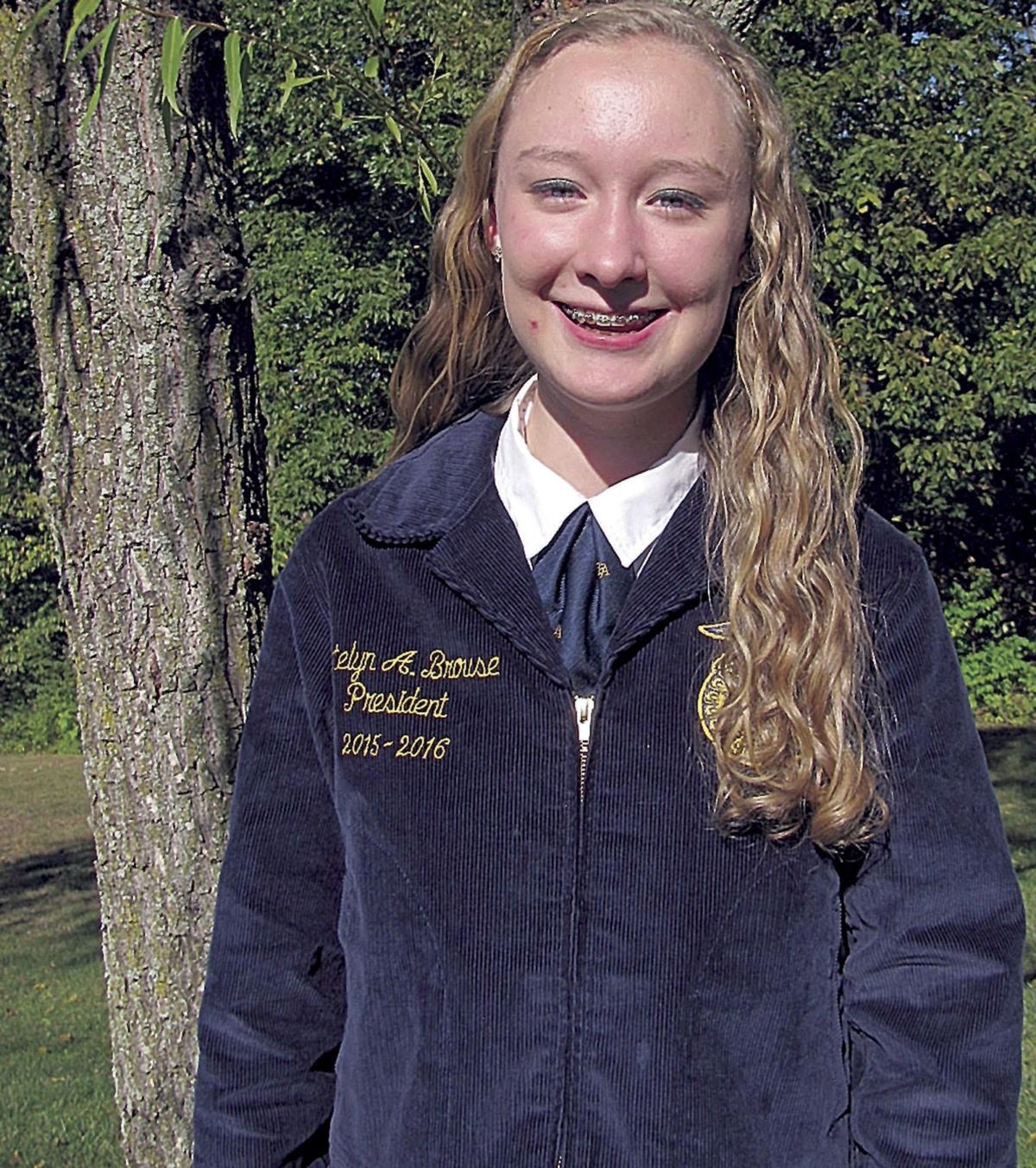 Young Americans: Classroom standouts | News | dailyitem.com