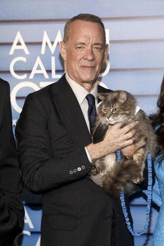 Local cat stars with Tom Hanks | News | dailyitem.com