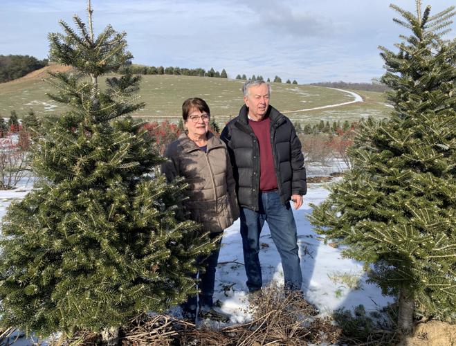 Valley tree farmers, farms awarded at PA Farm Show | News | dailyitem.com