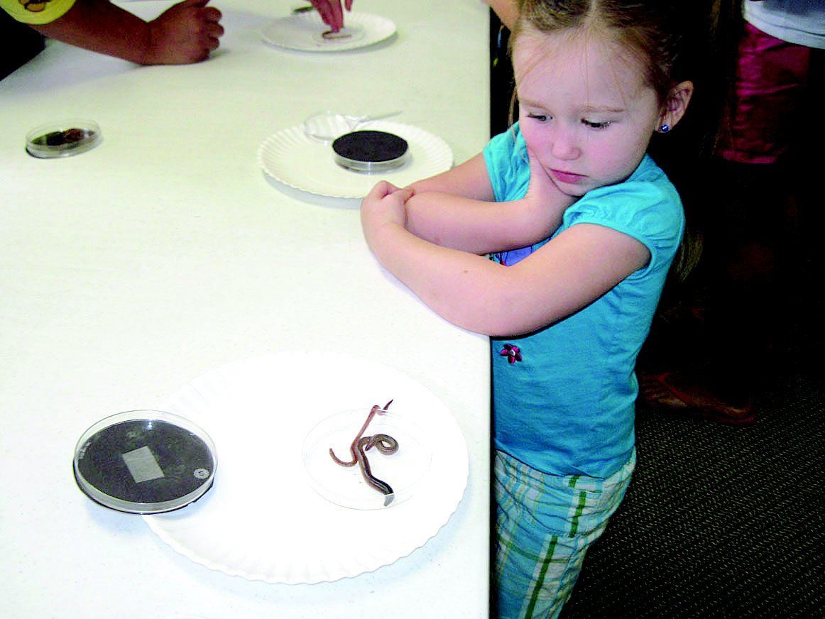 Thomas Beaver Free Library bookworms meet real worms | News | dailyitem.com