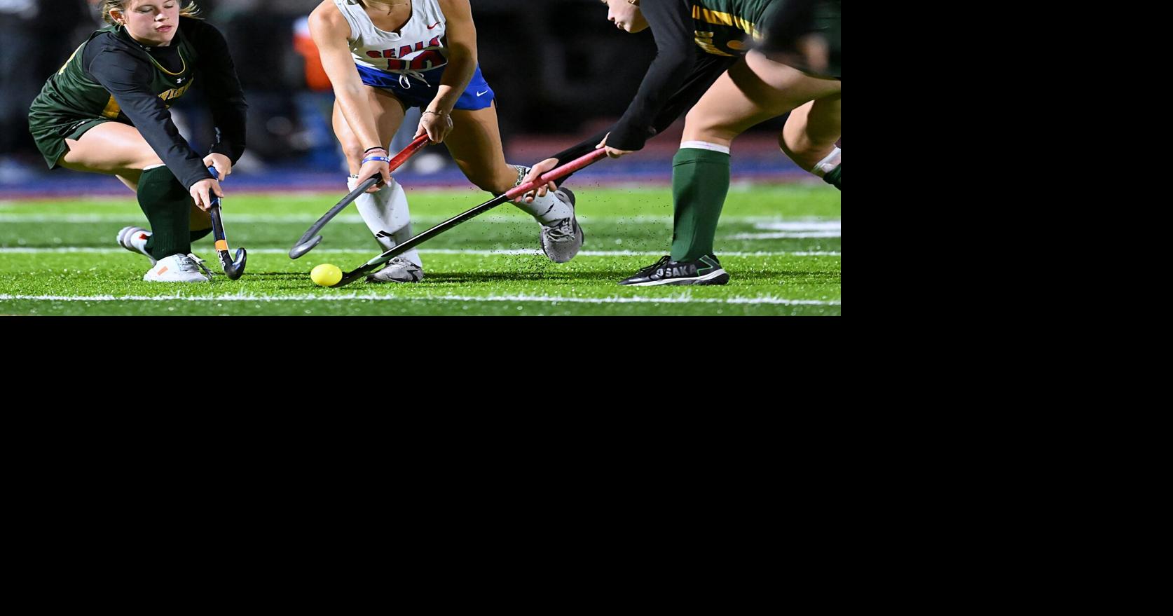 Seals freshman scores OT winner in districts | Sports | dailyitem.com