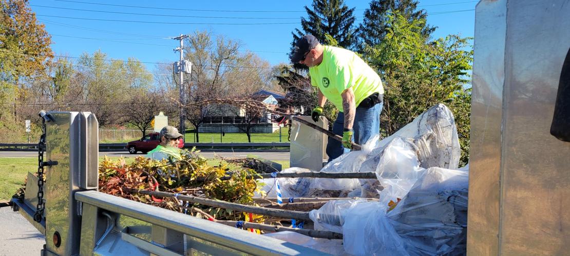 New trees planted in Northumberland parks | News | dailyitem.com