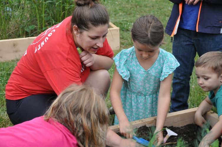 Free summer gardening camp offered to Valley kids | | dailyitem.com