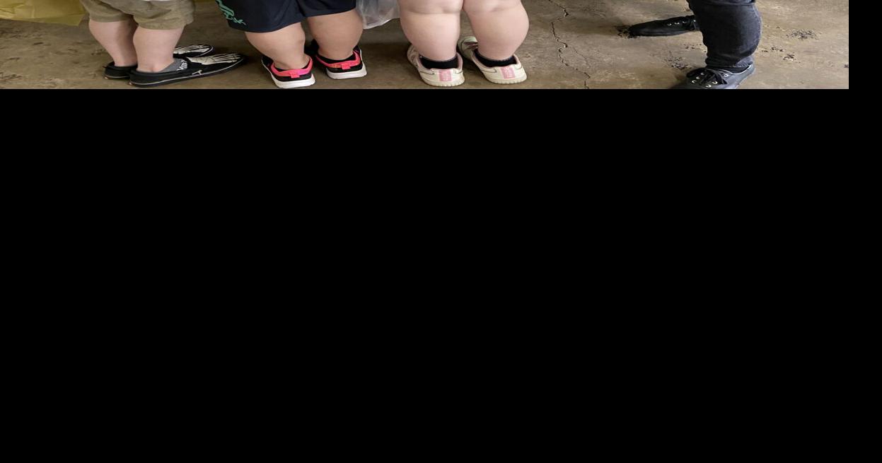 Master Gardener: Understanding the program and basic training | At Home | dailyitem.com