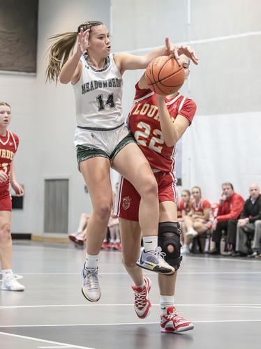 Lourdes girls beat Meadowbrook Christian despite Fasnacht's 26 points ...