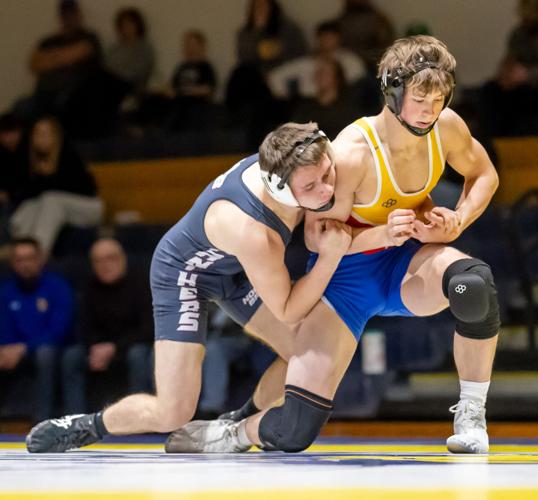 Line Mountain rolls into quarterfinals | Sports | dailyitem.com