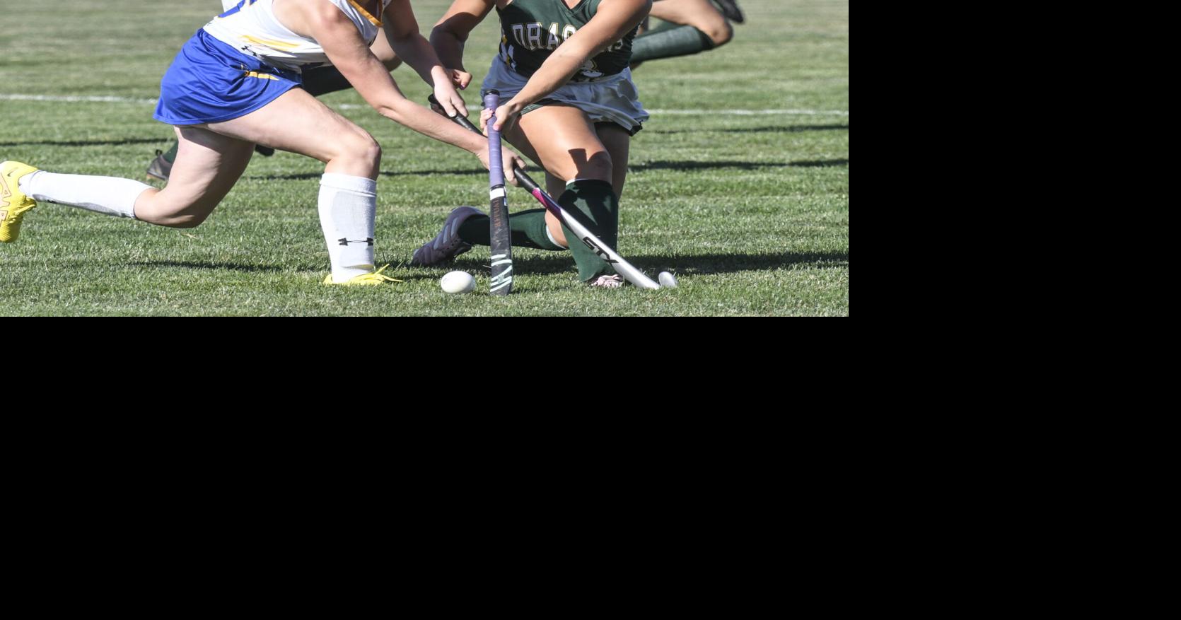 Barwick, Line Mountain top Lewisburg | Sports | dailyitem.com