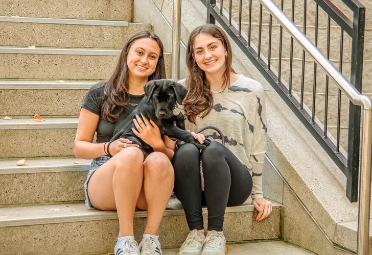 Duo helps build Bucknell's puppy-raising program | | dailyitem.com