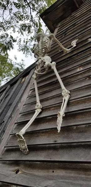 Elysburg Haunted House back for 42nd year | Local News | dailyitem.com