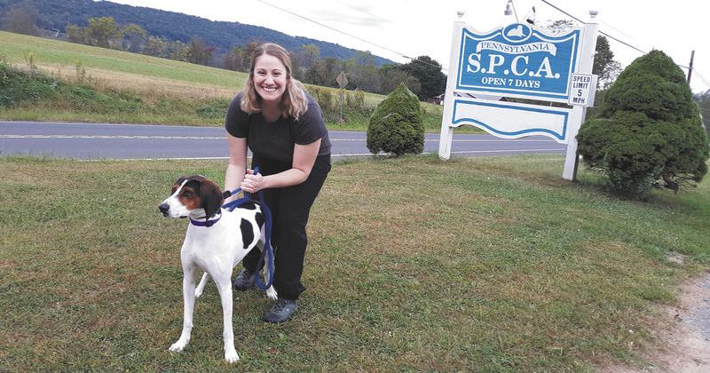 Geisinger employees band together to help community | News | dailyitem.com