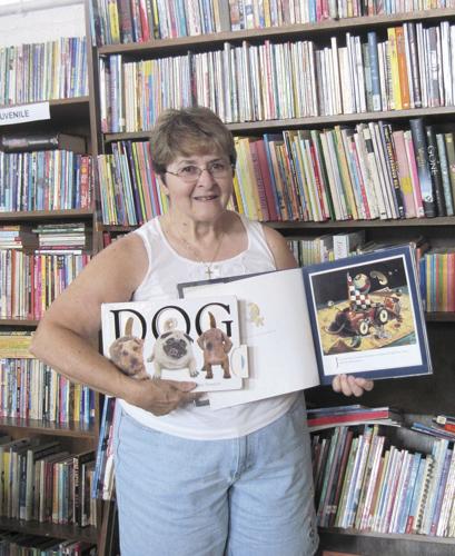 Fall Book Sale has something for everyone | News | dailyitem.com