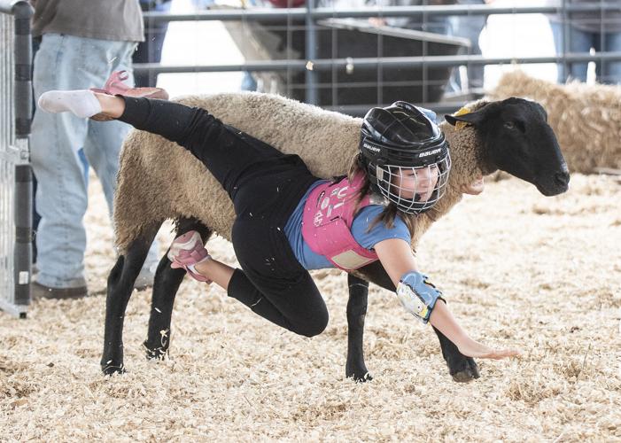 Rob Inglis: Photos of the Year | News | dailyitem.com