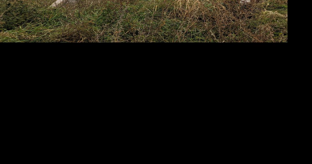 Moran Logistics warehouse proposed in Union County | News | dailyitem.com