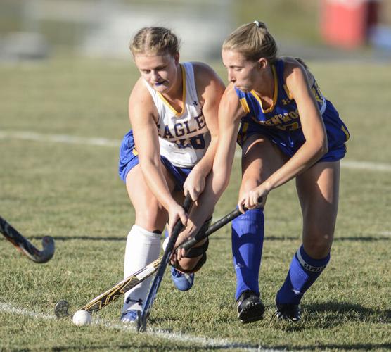 Wildcats pull away with six goals in second half | Local Sports ...