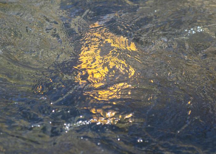 Fishing area established for children in Limestone Run | News ...