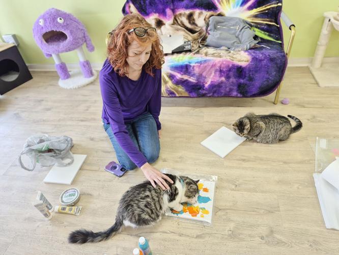 Cat Gallery holds cat painting session | News | dailyitem.com