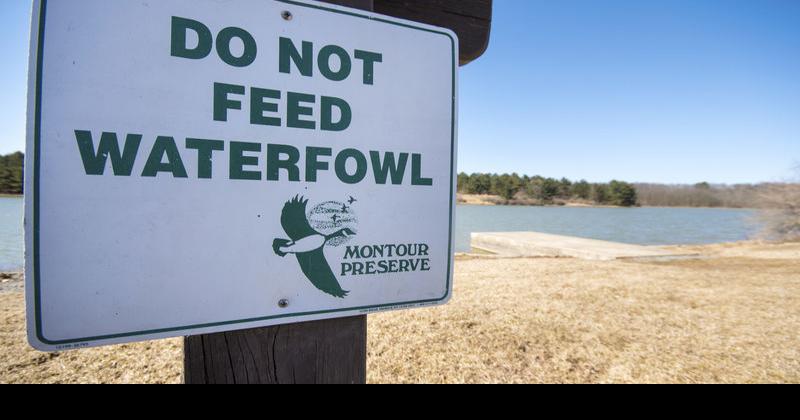 MARC bringing in help to flush excess geese from Montour Preserve ...