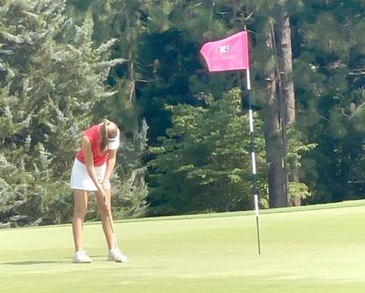 Rabb adds 2nd PIAA medal to career total | Sports | dailyitem.com