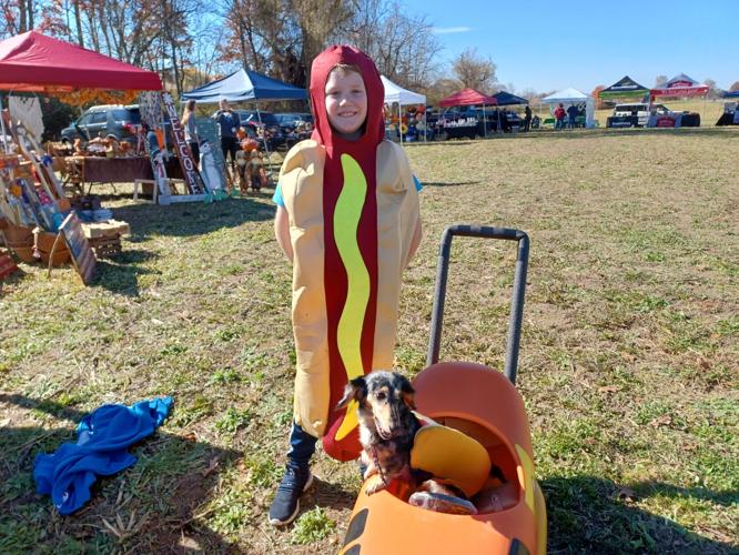 Participants put pets on parade for Halloween | News | dailyitem.com