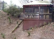 Pittsburgh Zoo: Boy’s mauling death is his mother's fault | News ...