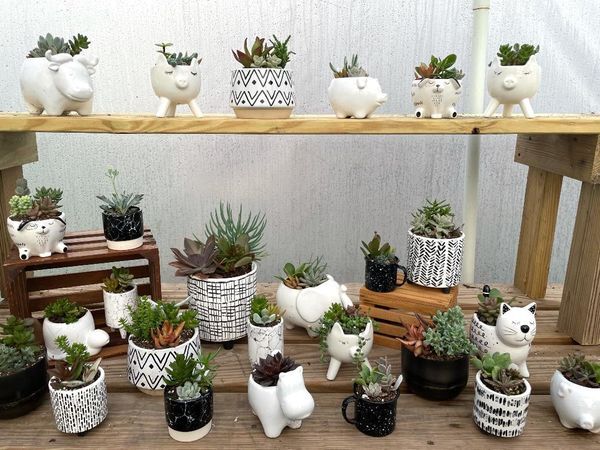 Lewisburg craft fair to feature variety of products, food and music ...