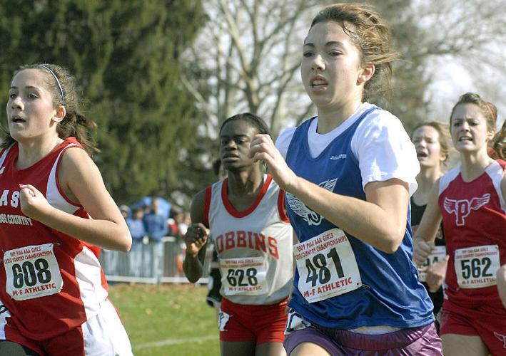 High school cross country: East Juniata's Erhard finishes 12th at ...