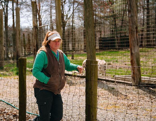 Wildlife rescue/refuge requires caring, skills and dedication ...