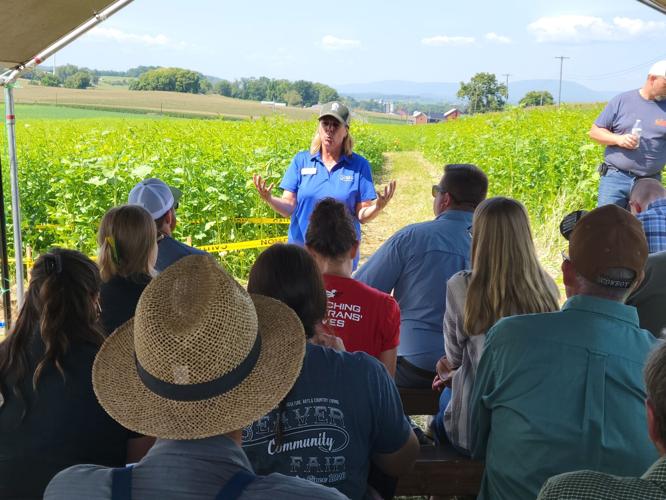 Union County Conservation District hosts field day on soil health ...