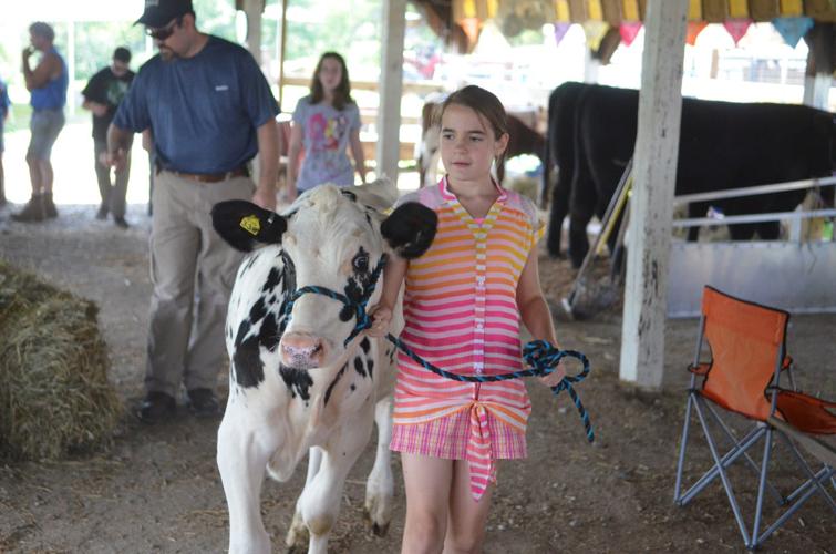 Montour Delong Fair 2014 | Gallery | dailyitem.com