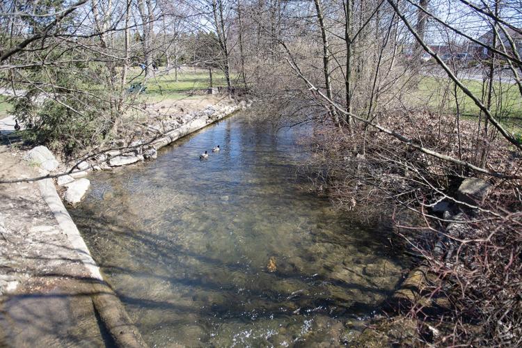 Fishing area established for children in Limestone Run | News ...
