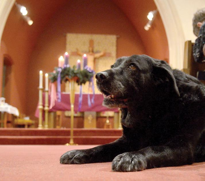 Priest takes dog to Sunday Mass | News | dailyitem.com
