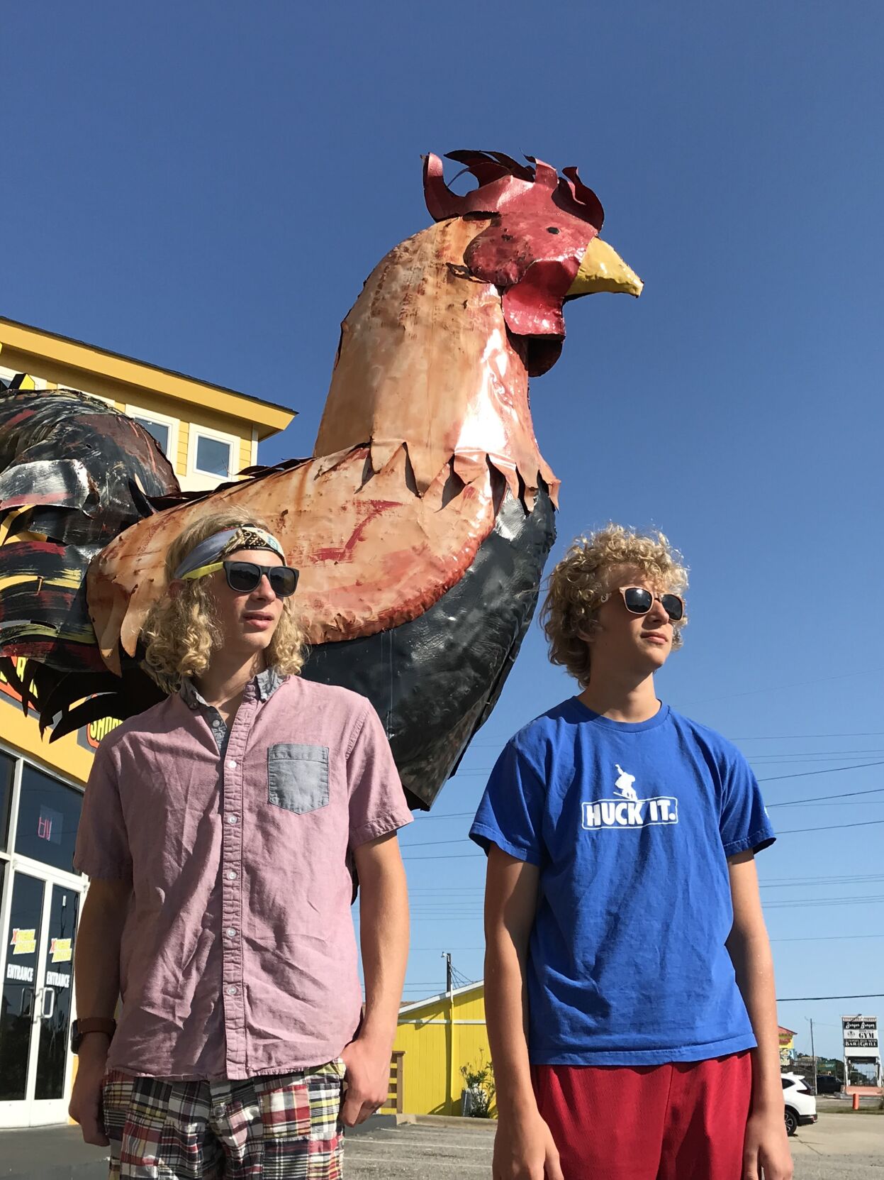 Wicked Chicken coming to Campus Theatre | News | dailyitem.com