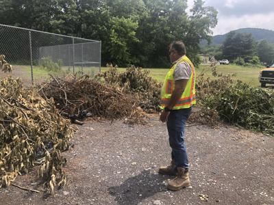 Sunbury cracking down on illegal dumping at brush pile | Local News ...