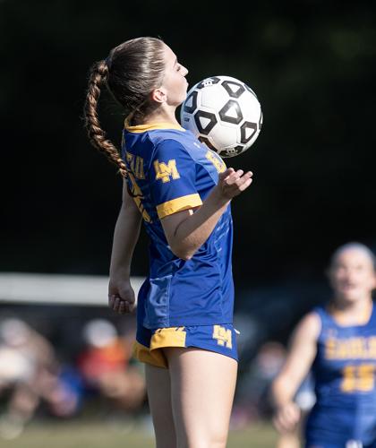 Line Mountain girls double up Millersburg | Sports | dailyitem.com