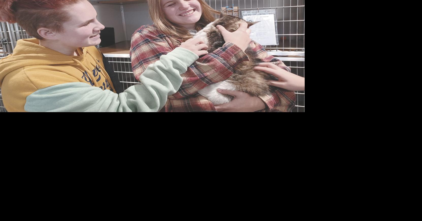 Danville agriculture science students volunteer at SPCA | The Danville ...