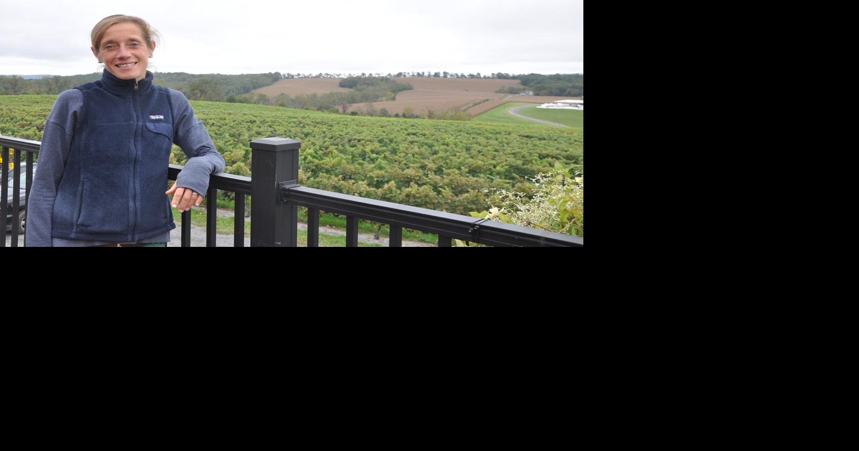 Corn and soybean farm transformed into vineyard, Shade Mountain Winery ...