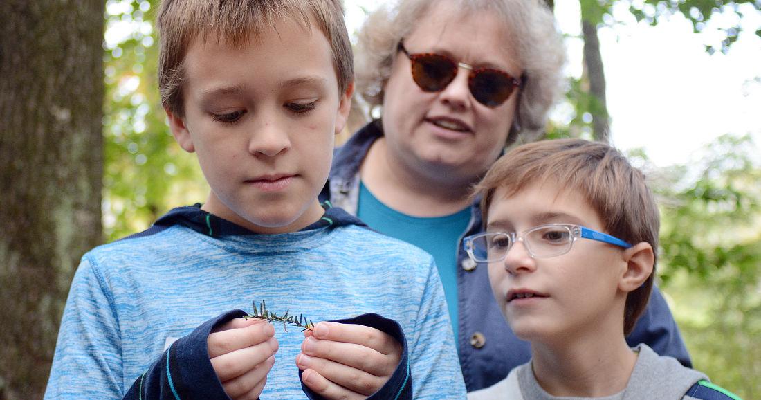 5th-graders study nature at Wesley Forest | News | dailyitem.com