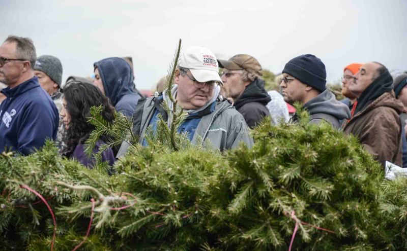 Mifflinburg Christmas tree auction draws bidders from along East Coast ...