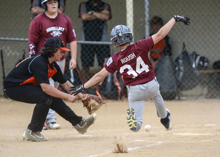 Little League baseball: Shikellamy/Acorn rallies for 50/70 state berth ...
