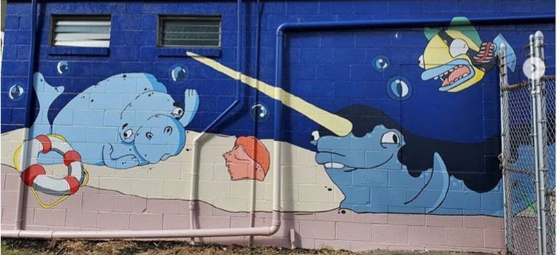 Selinsgrove Area High School students paint mural at pool | Snyder ...