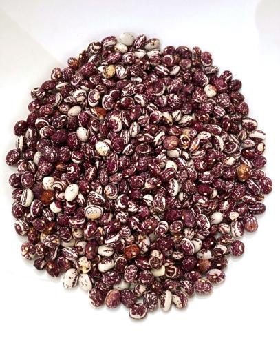 Master Gardener: Shell beans can be a nutritious addition to your ...