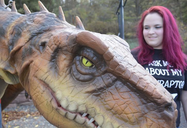 Wearing something filmy: Manned dinosaur next movie star? | News ...