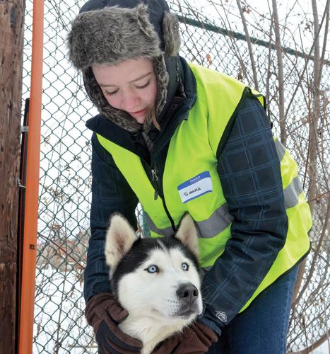 23 kids pull stuffed animals on sleds in IKIDarod | News | dailyitem.com