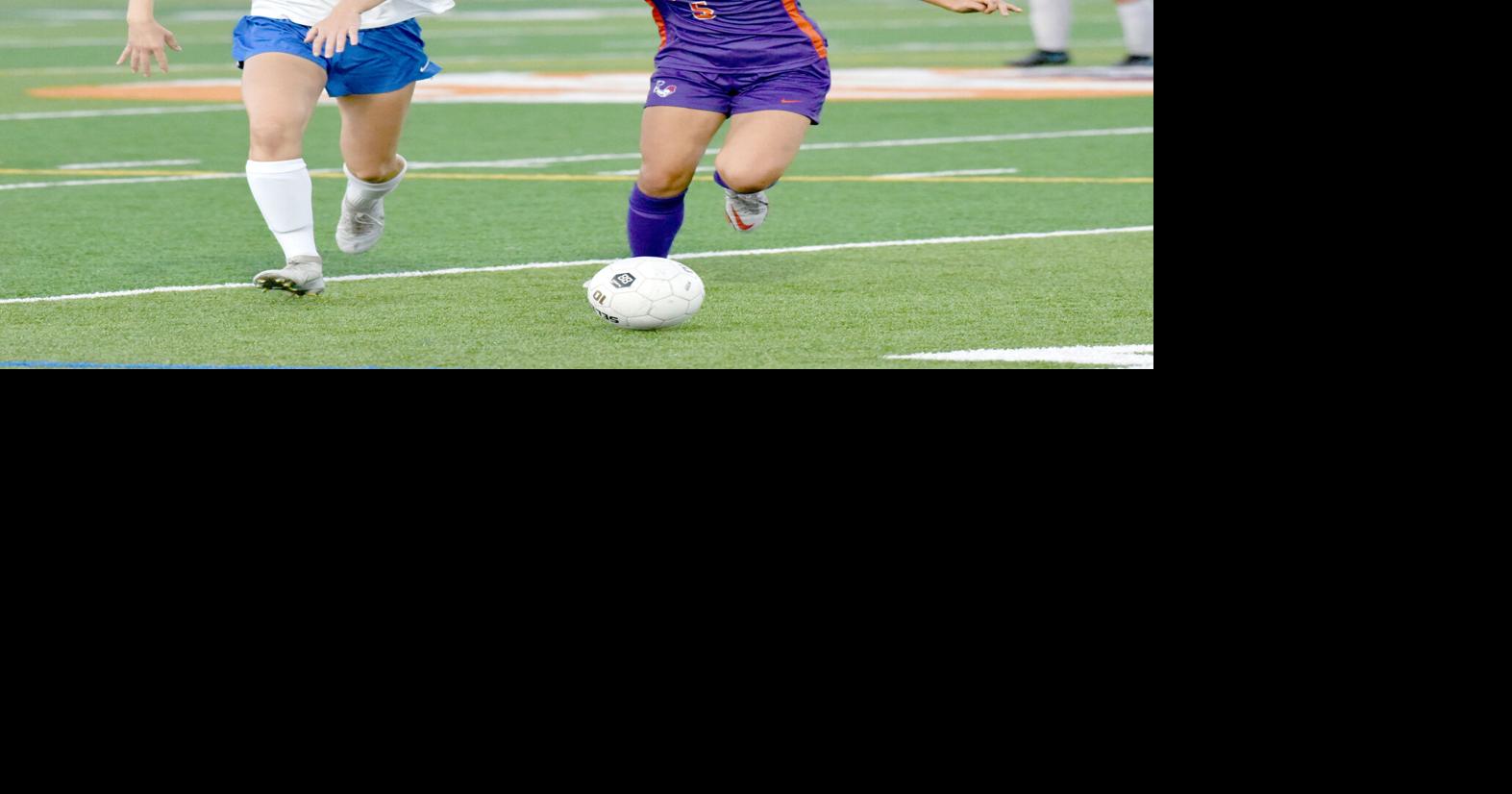 Warrior Run girls top Danville for 1st win | Sports | dailyitem.com