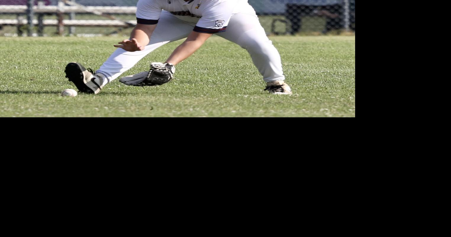 Little League baseball: Shikellamy Juniors win Section 3 crown | Sports ...