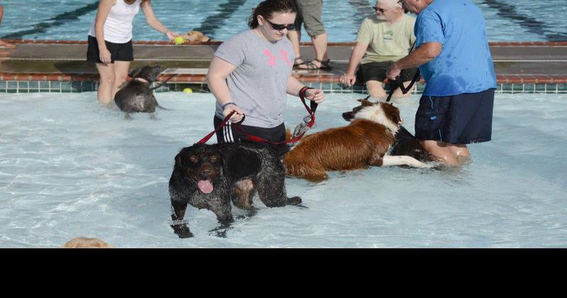 Lewisburg pool opening for Doggie Dips Aug. 27-29 | News | dailyitem.com
