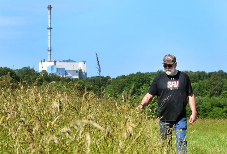 Companies buying, leasing land have varying goals for directing solar ...