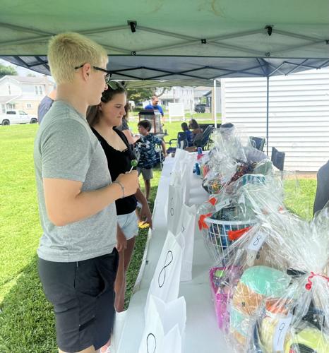 Danville Area High School club hosts event to raise mental health ...