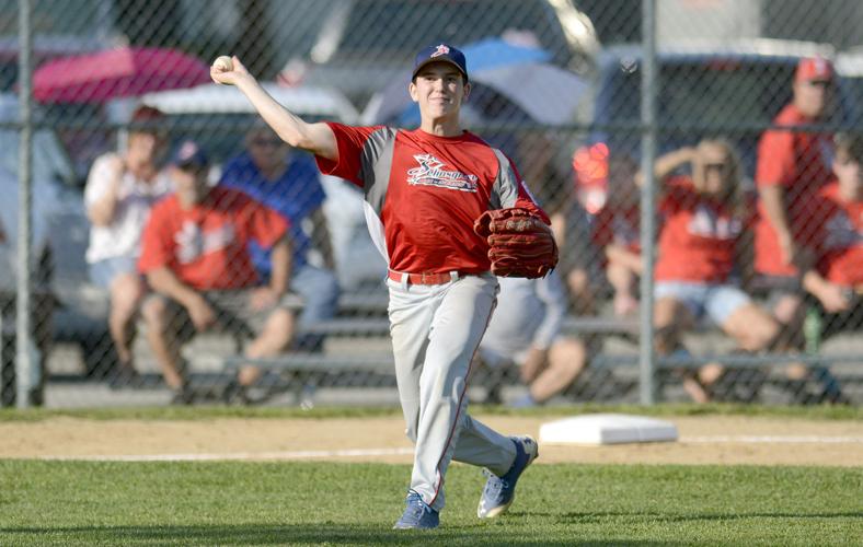 Little League Baseball: Selinsgrove Juniors win district title | Sports ...